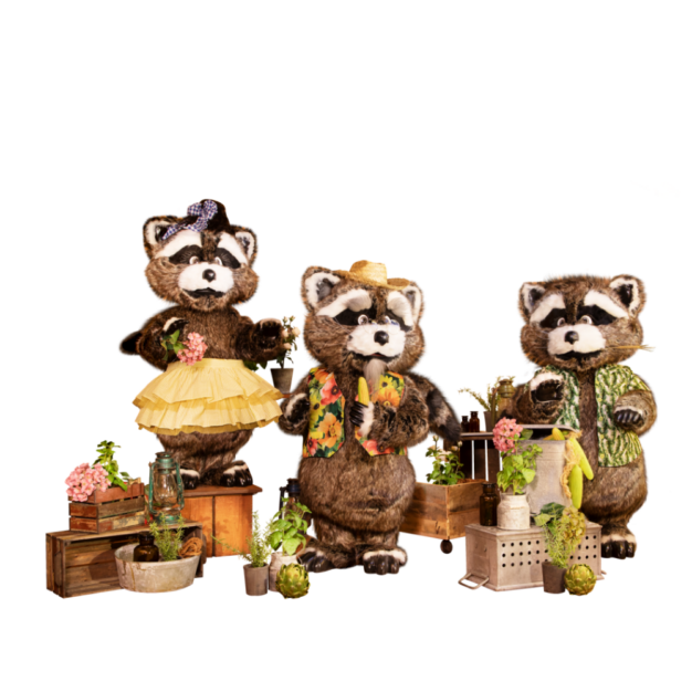 Bands Archives - Creation Group