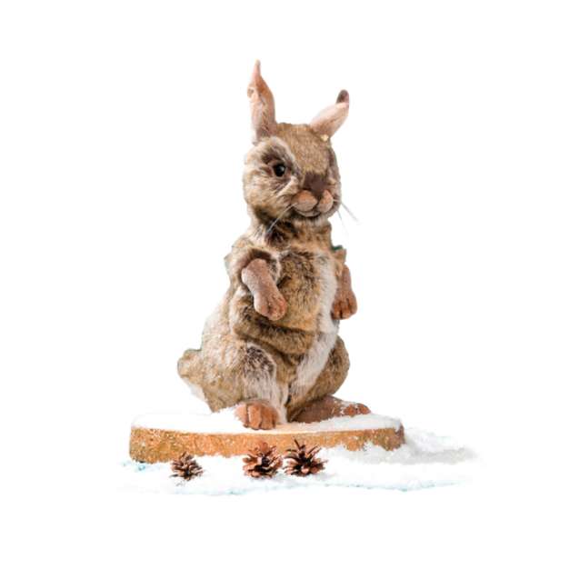 Brown Rabbit, sitting - Creation Group